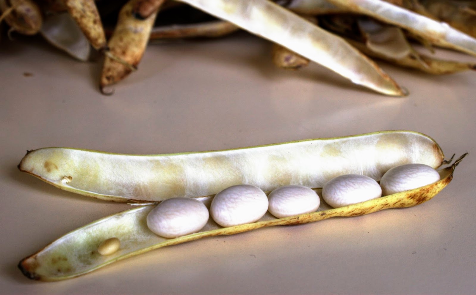 Haricots secs au beurre : cocos, lingots, flageolets