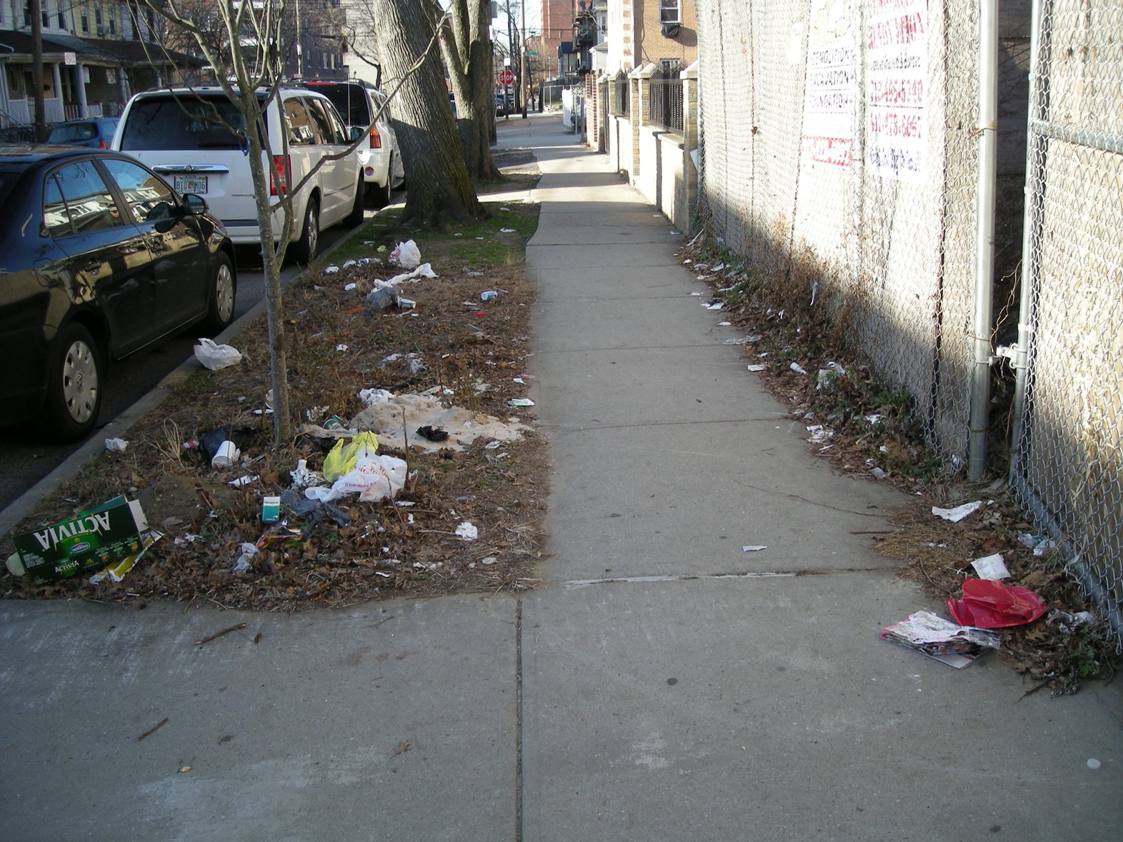 Queens Crap: Junky Jamaica