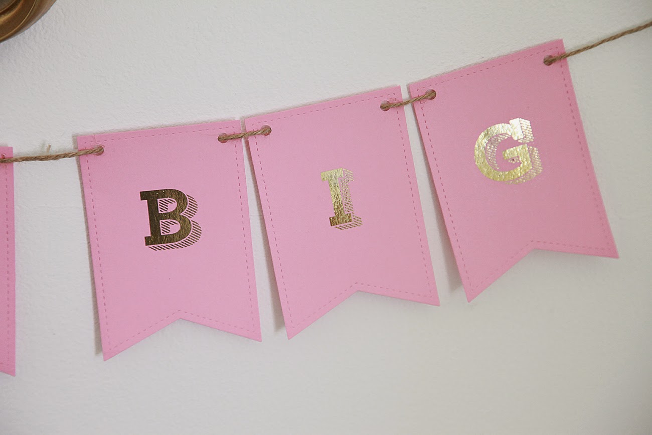 Unify Handmade: Dream Big--Pretty Pink Posh, Stitched Banner Duo