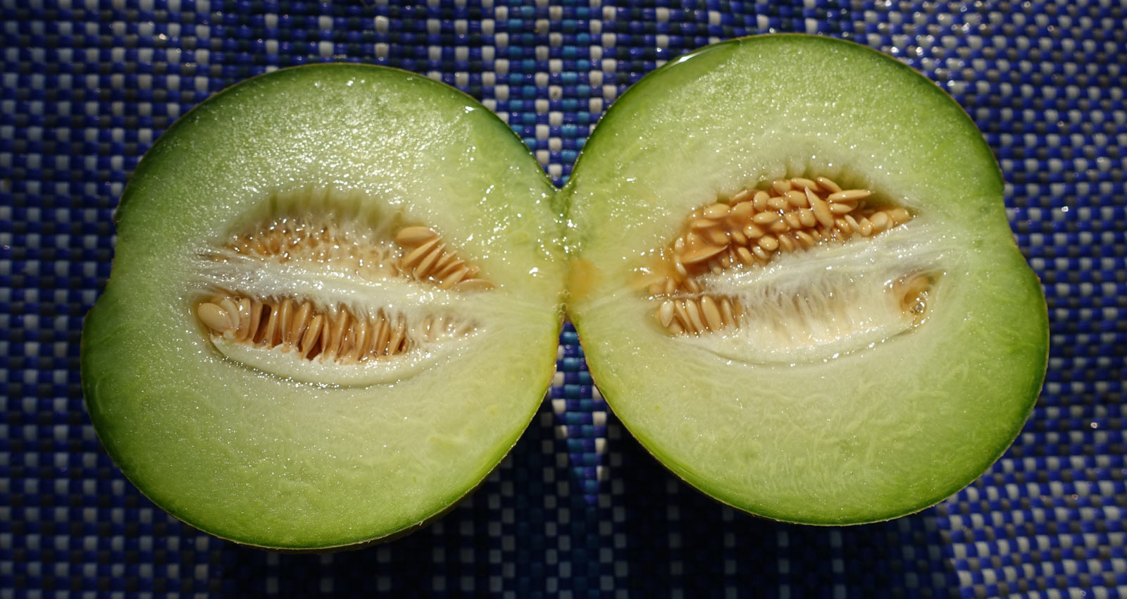 Gartenzone: Melonen im Nutzgarten: Sortenerfahrungen und Sortenempfehlungen