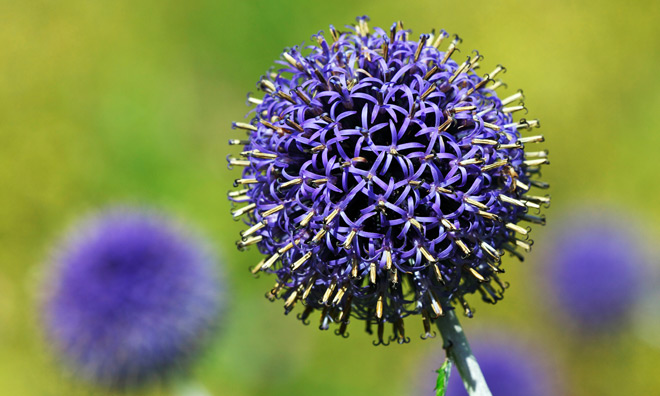 pulmonate's design & architecture blog: Wedding inspiration _ Balls