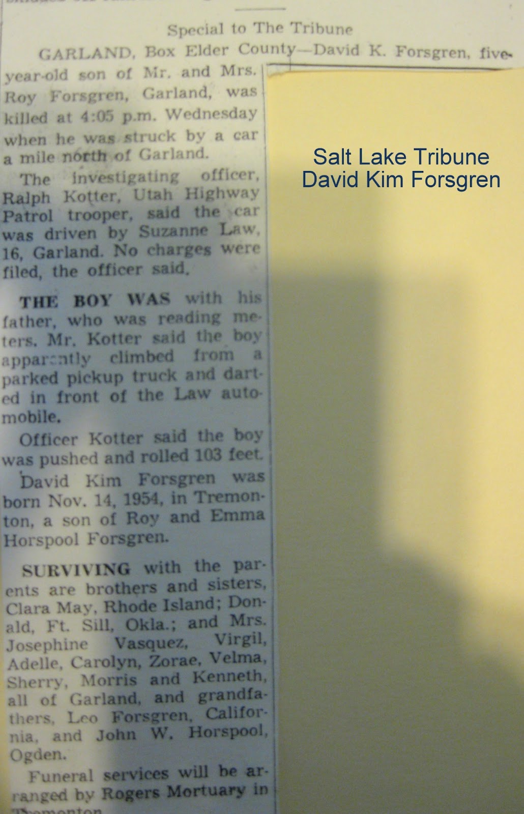 Forsgren, Peter Adolph & Descendants