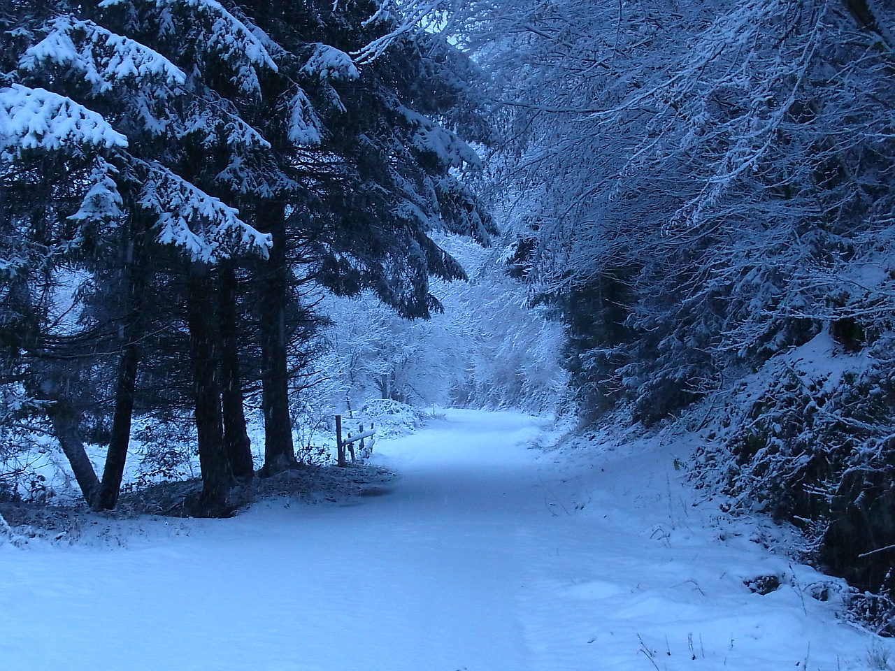 quatre saisons: neige