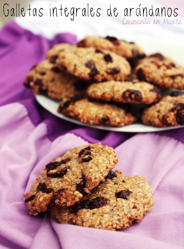 Cocinando en Marte: Galletas integrales de arándanos
