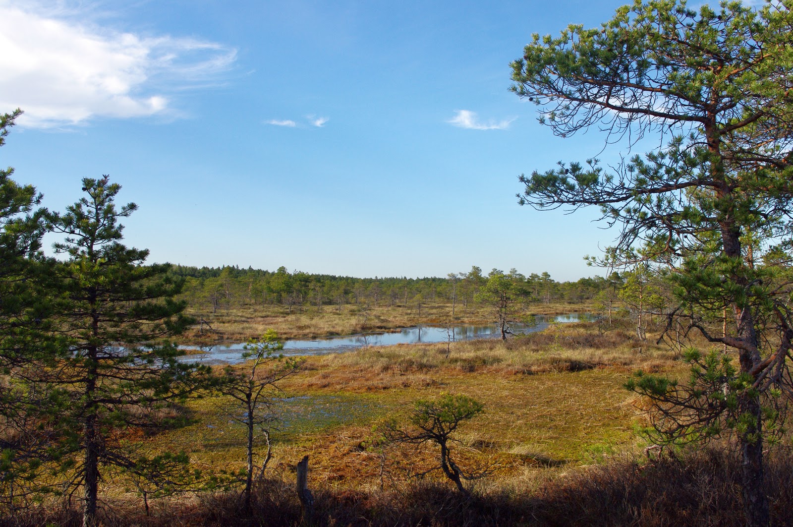 Kalevi pildiblogi: Kakerdaja raba