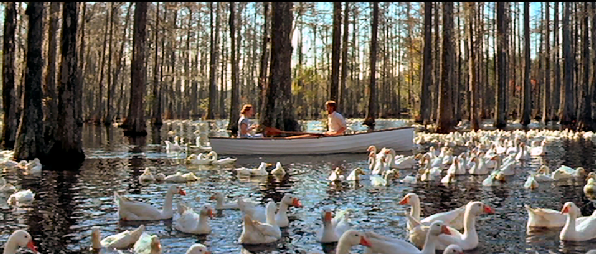 Common Sense Movie Reviews: The Notebook (2004)