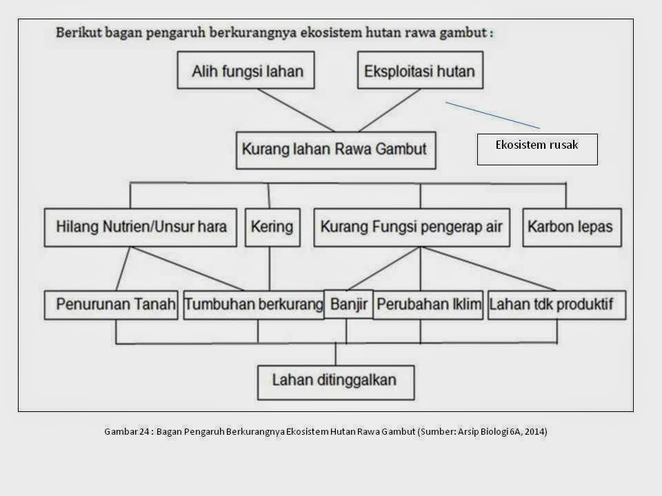HUTAN RAWA GAMBUT: EKOSISTEM HUTAN RAWA GAMBUT