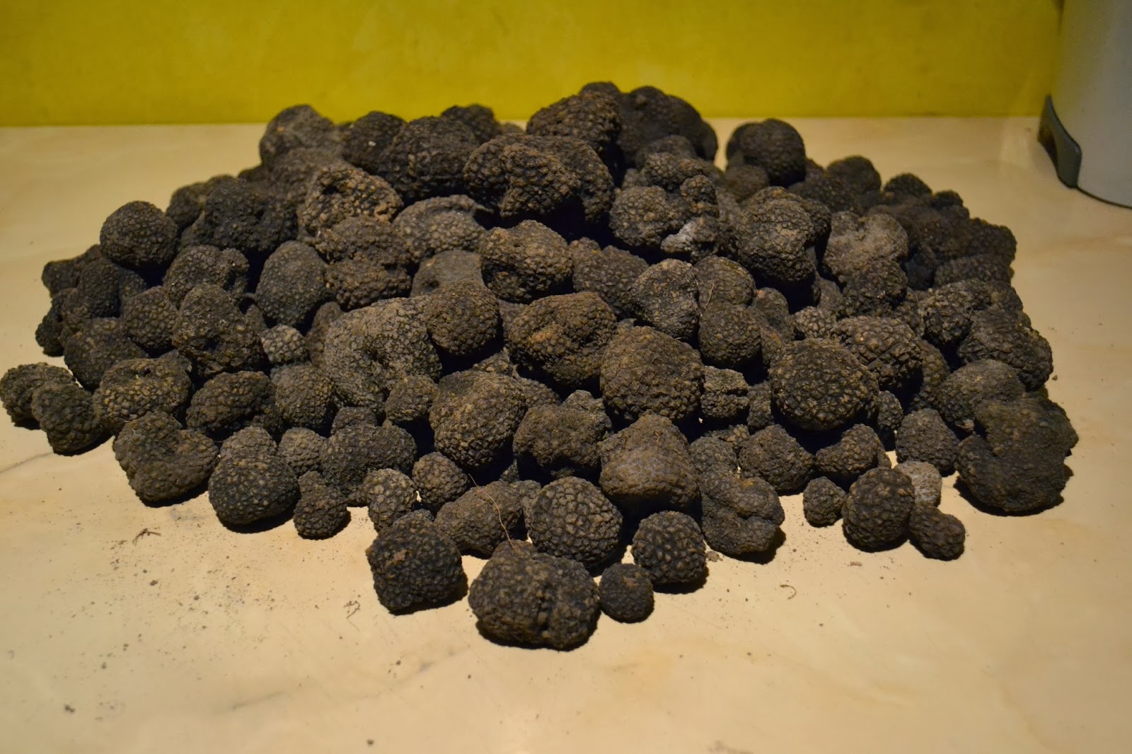 Trufe Romania Albe si Negre: Trufe Negre