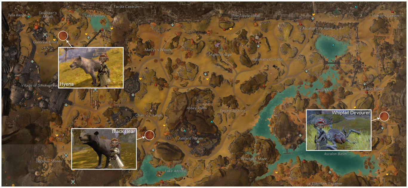 Guild Wars 2 Junkie: Pet Locations
