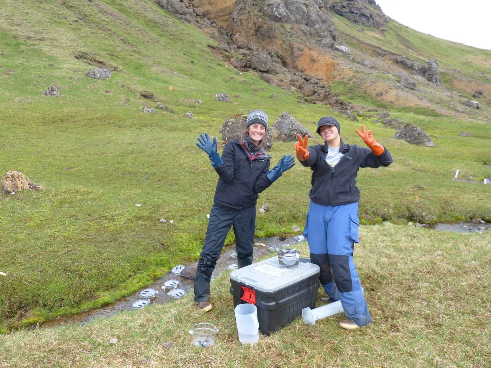 Fixation on Ice: Measuring Nitrogen Fixation: The Acetylene Reduction Assay