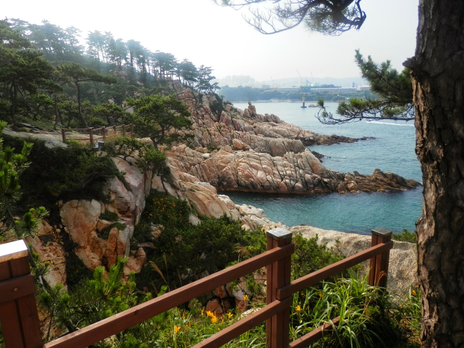 Perfect Views at Ulgi Lighthouse and Daewangam Park - The Students ...