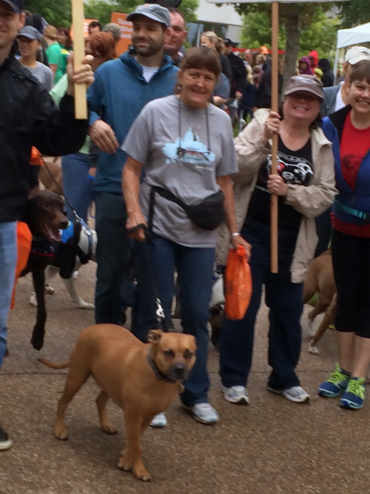 Pit Bulls and Other Animals....: Austin, Texas U.S.A. Reunion Rescue ...