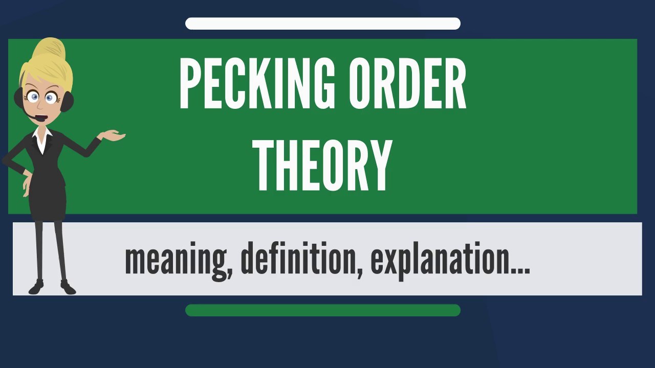Pecking order theory