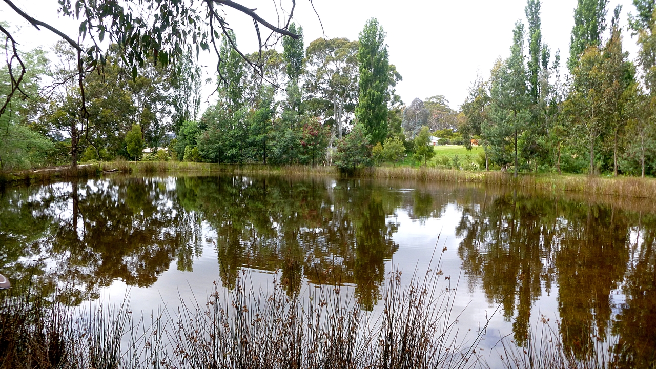 Ramblings: Nierinna Creek Tramway Hill Margate Rivulet 2015