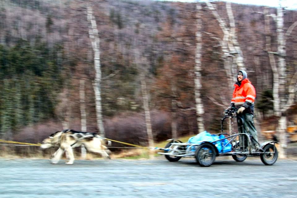 Arctis Carts: West Coast Dryland Mushing Events, Fall 2013