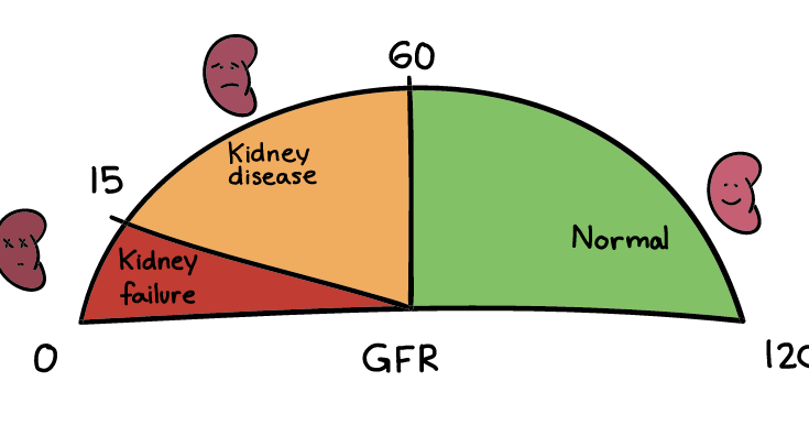 traitement de l'insuffisance rénale: Traitement pour faible GFR