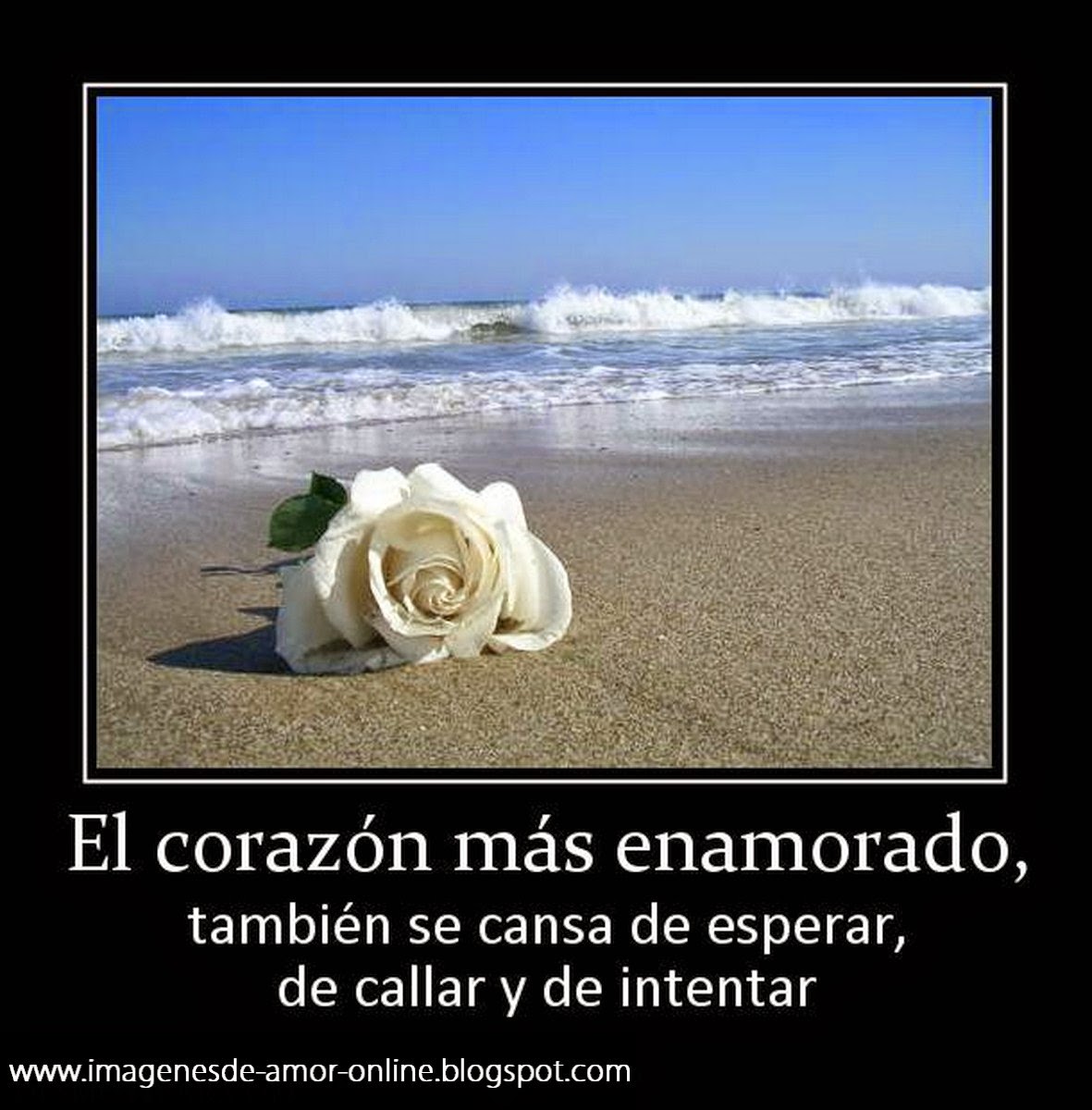 ver imagenes de amor online desmotivaciones con frases poemas rosas ...