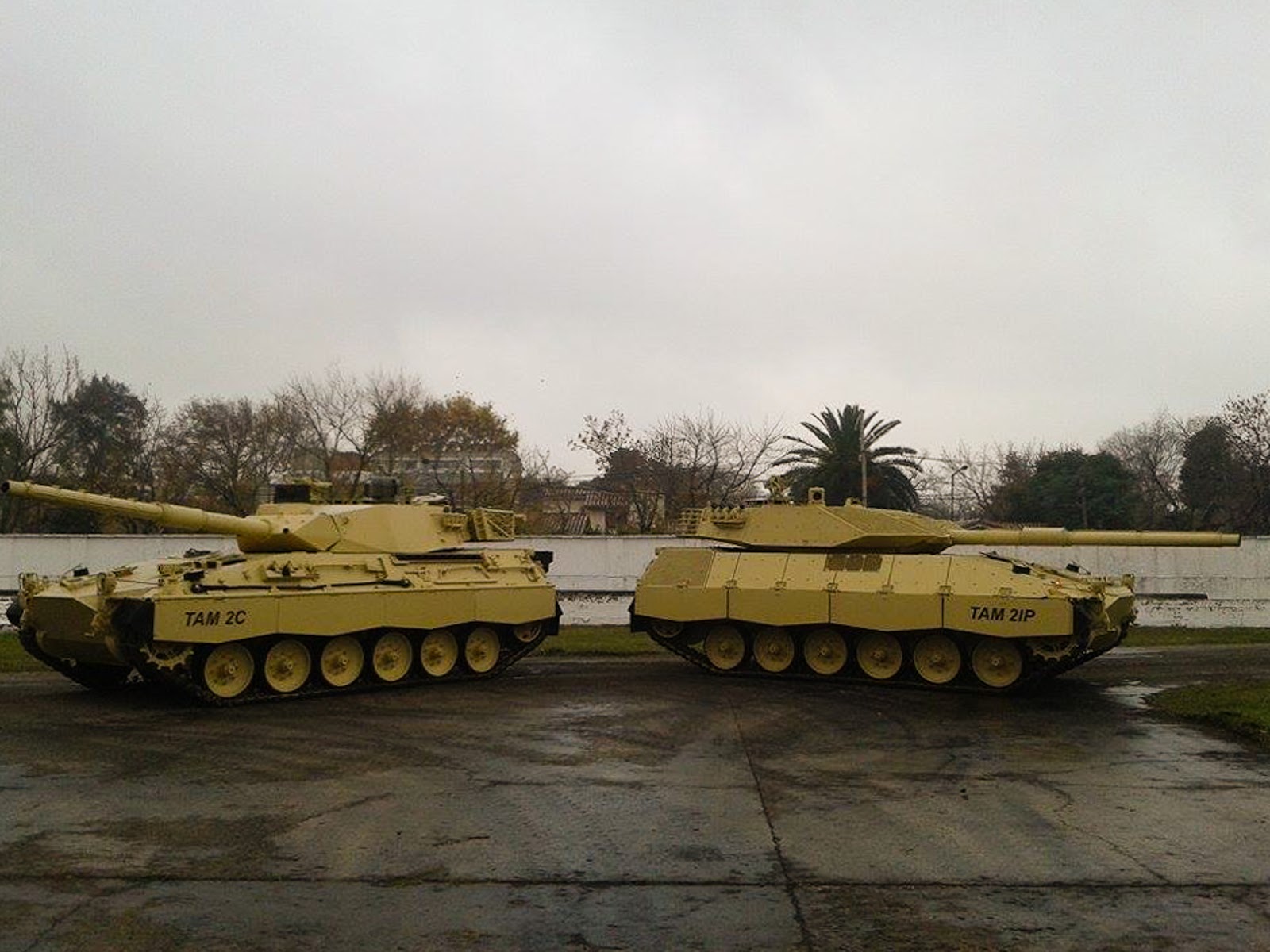 Defensa y Armas: Fotos del TAM 2IP en el día del ejército en el colegio ...