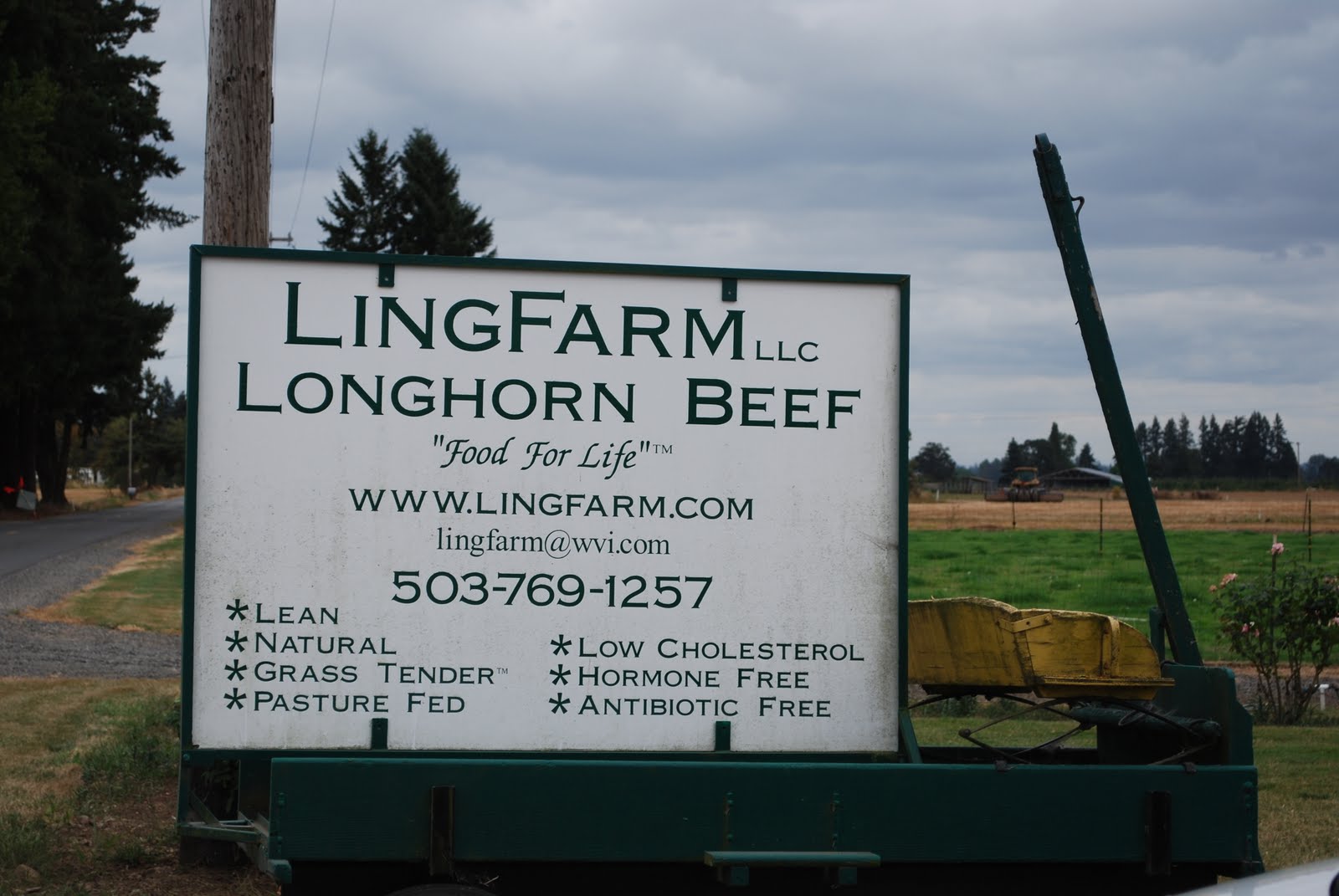 Homeschooling in the Mid-Willamette Valley: Ling Farm- Texas Long Horn ...