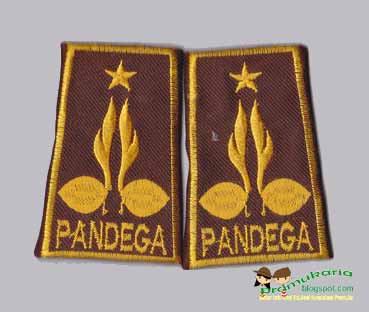 Scout!: Pramuka Pandega