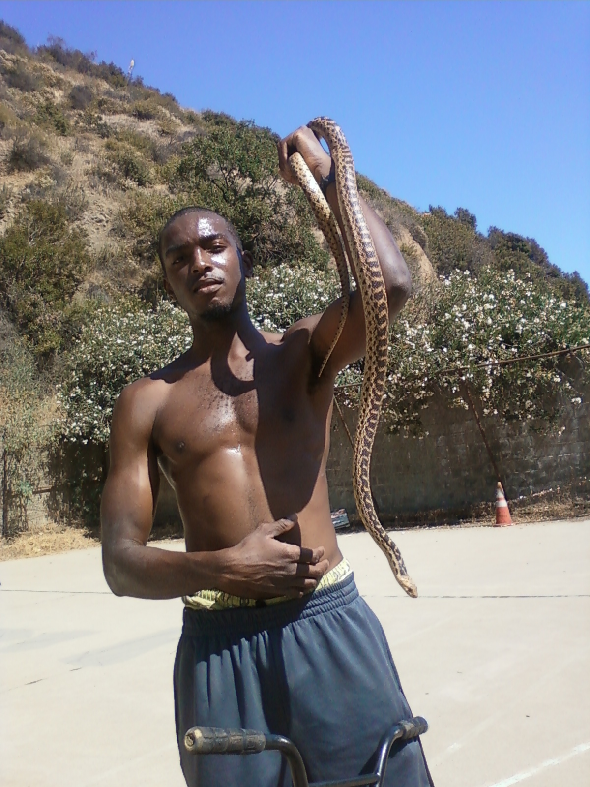 FlatMode: Snakes on a Riding Spot!