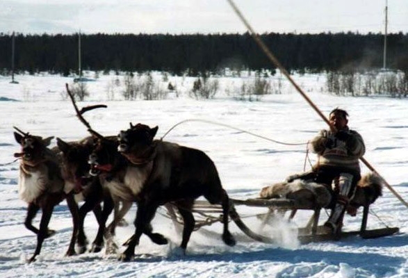 Finding Neverland Blog: The Chukchi People (Habitants of Ice)