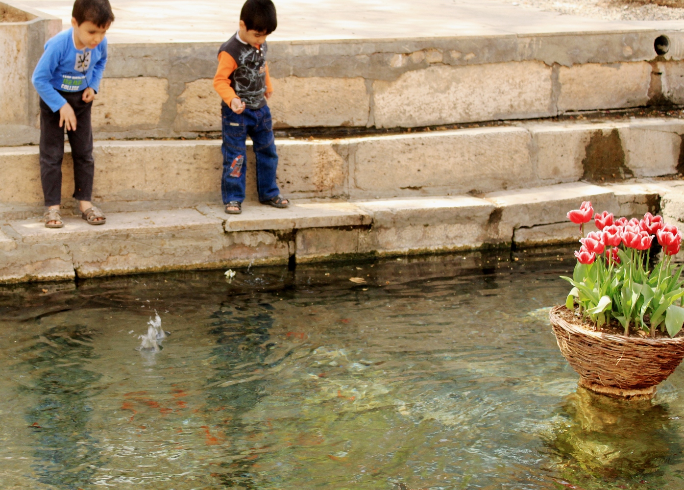 ghajarboy picture: mahallat park پارک جنگلی محلات