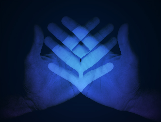 Acuerdos y Ciclos - Aro: ACUERDOS COMPARTIDOS