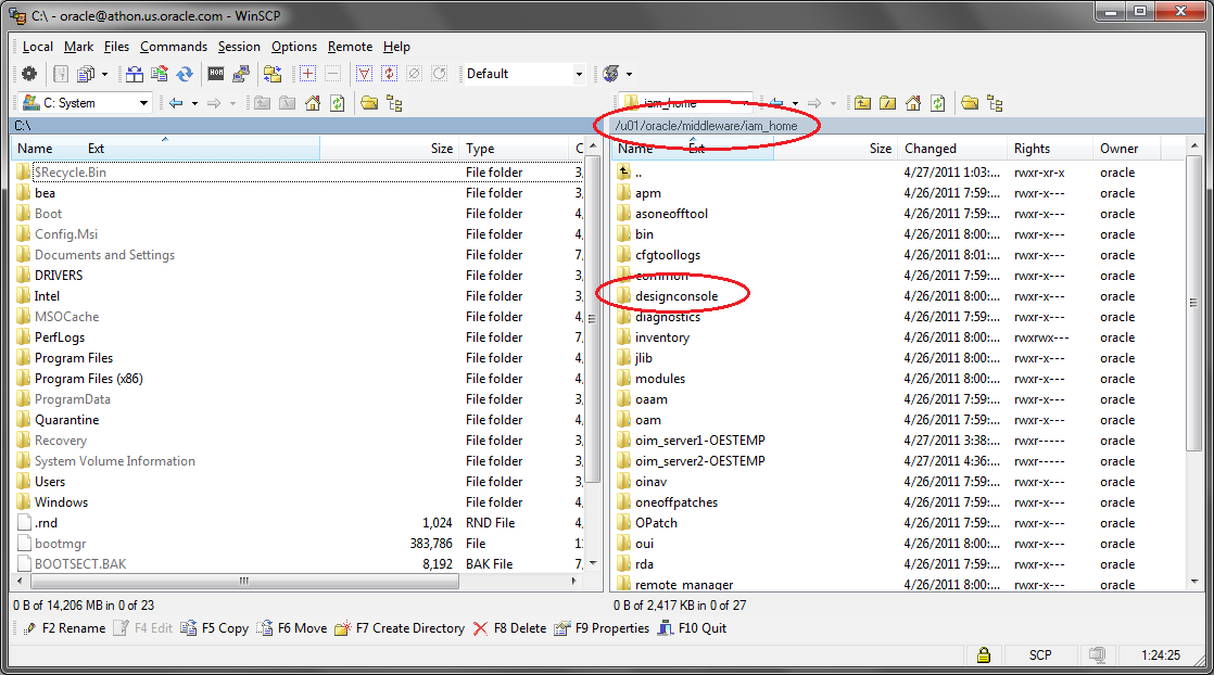Oracle Fusion Middleware Security: Configuring Design Console for OIM 11g