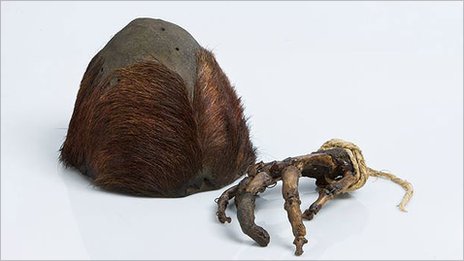 The Pangboche Hand: Mummified Yeti?