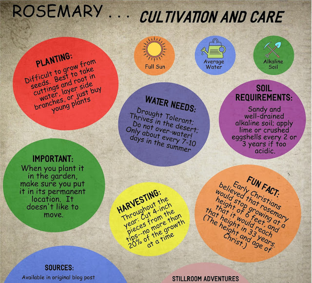 Rosemary--The Ultimate Guide