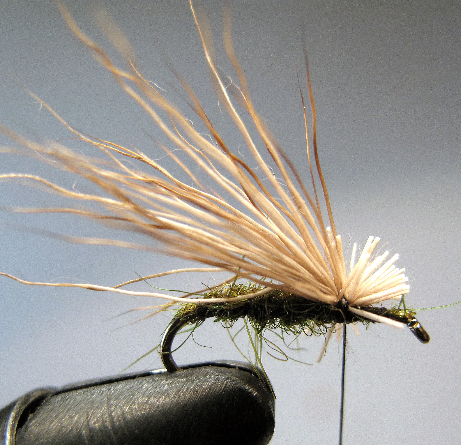 Dry Fly 'Expert': Learning About the Grannom
