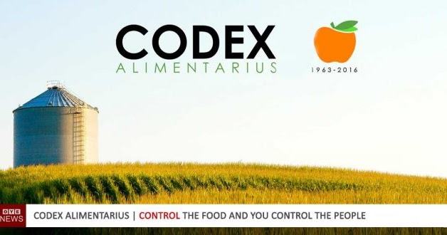 INGENIERÍA EN TECNOLOGÍA DE ALIMENTOS : ¿Qué es el Codex Alimentarius?