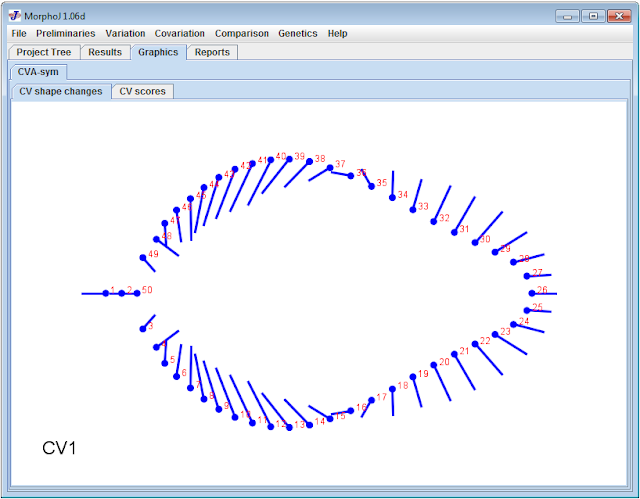 F2 Plant Evolution: Tools der Morphometrie - MorphoJ