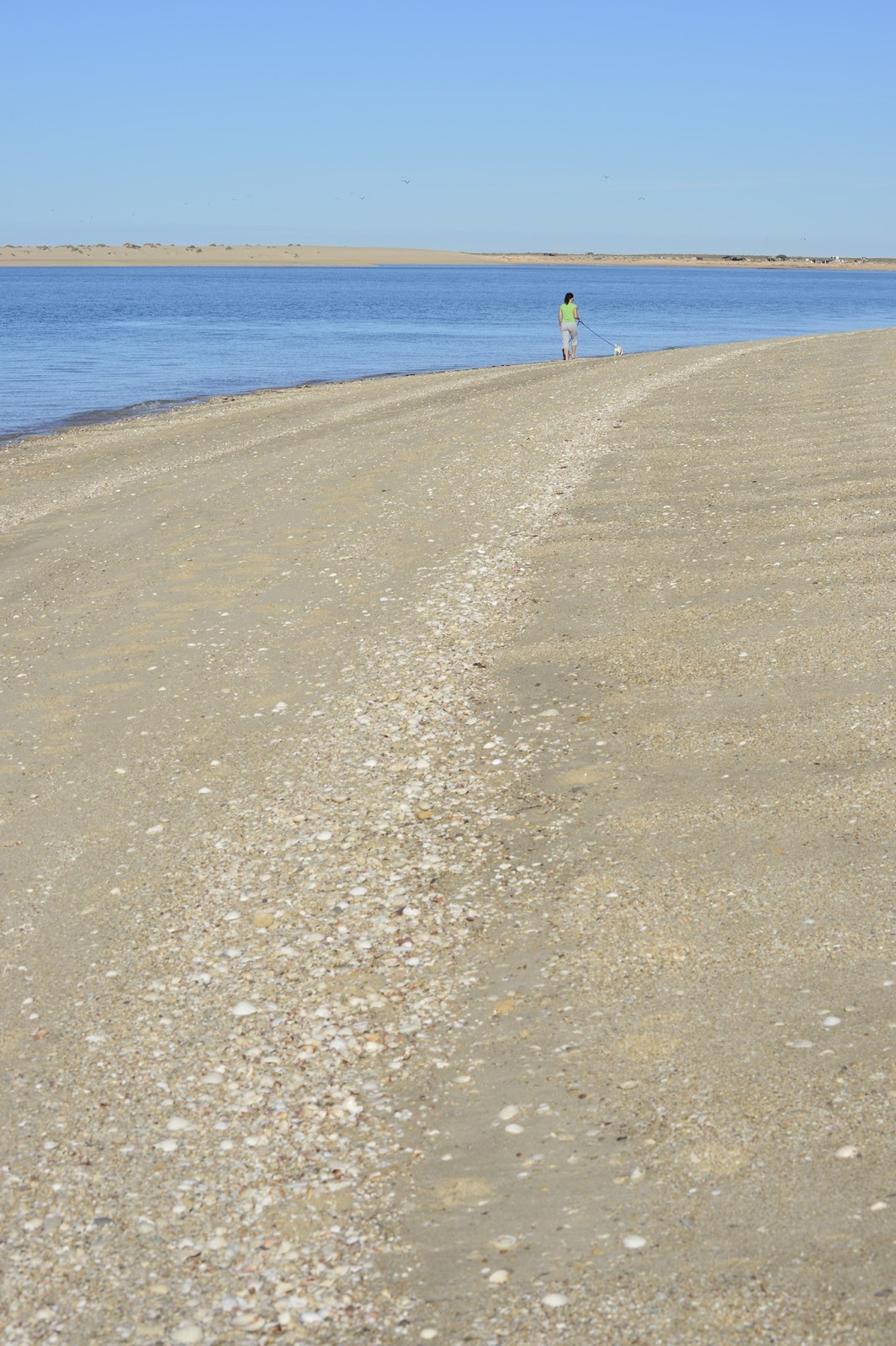david schacher photography, llc blog: Puerto Peñasco - Morúa Estuary