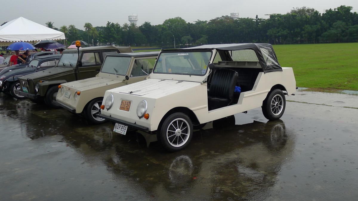 Ecm: Came Raining VW