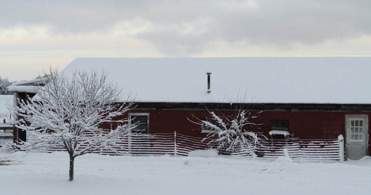 Colonial Quills: Surviving Winter - the Native Americans