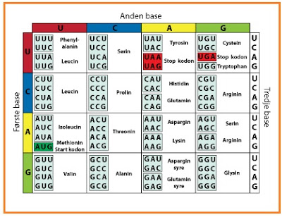 BIOLOGI SUBSTANSI GENETIK - Biology Page