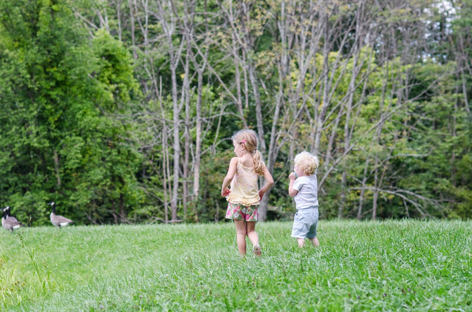 Picturing the Ordinary: Hop Frog Pond