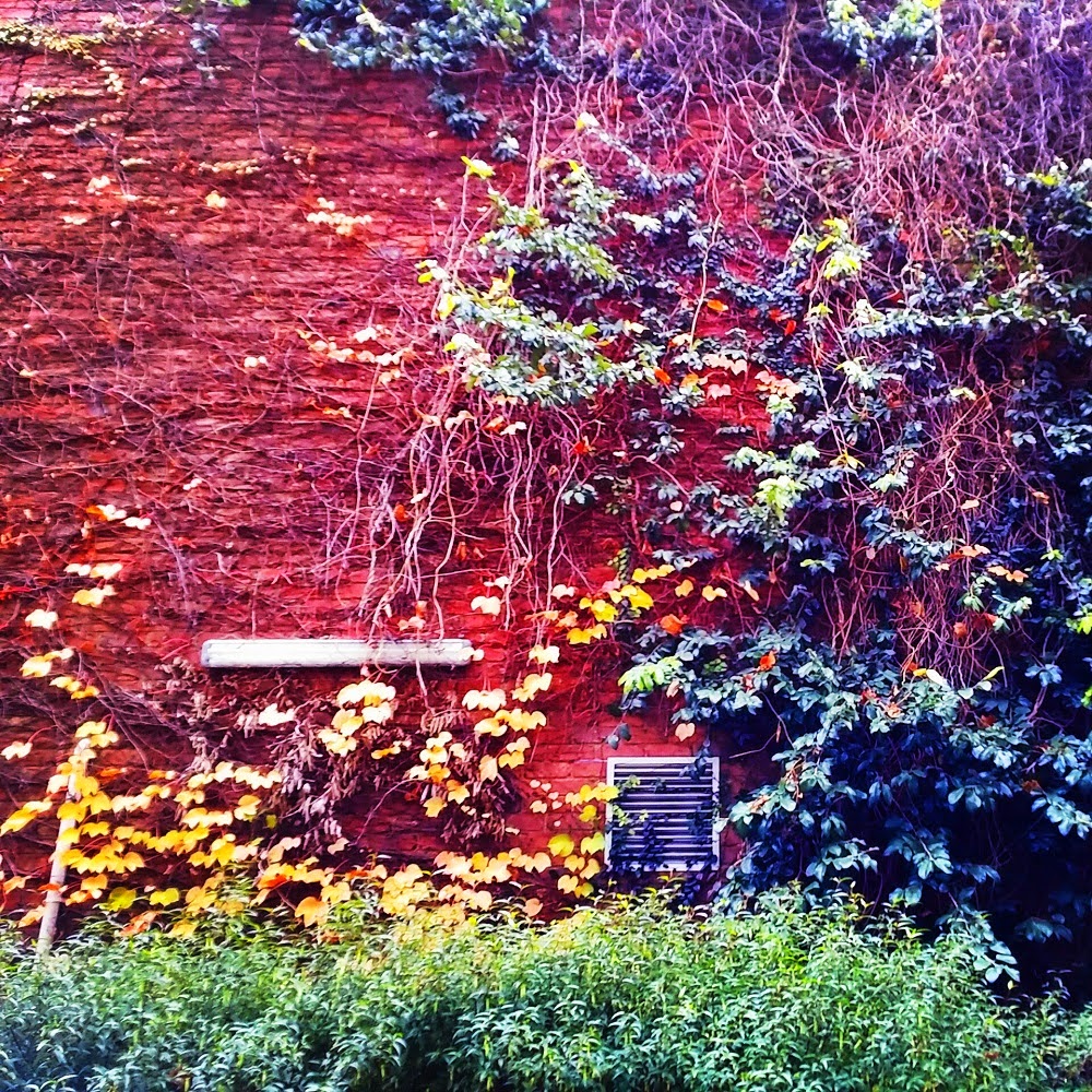 STEPPING UP TO A NEW SEASON. / CATHTIVATED