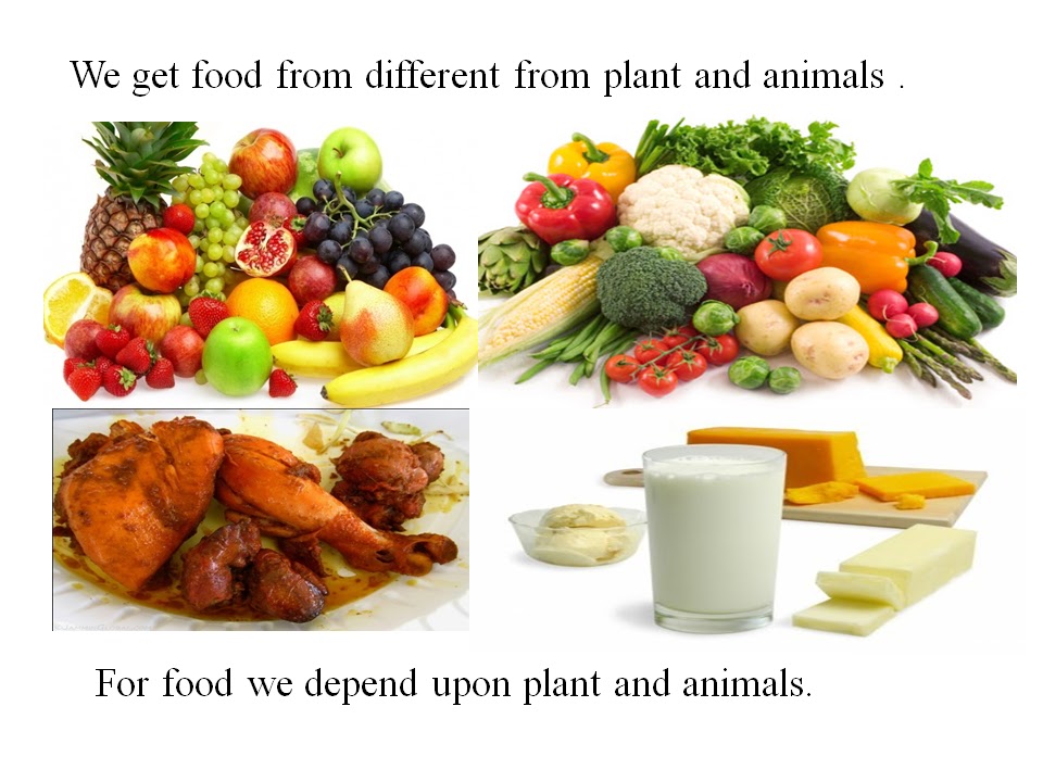 SONU ACADEMY: COMPONENTS OF FOOD-TEXT