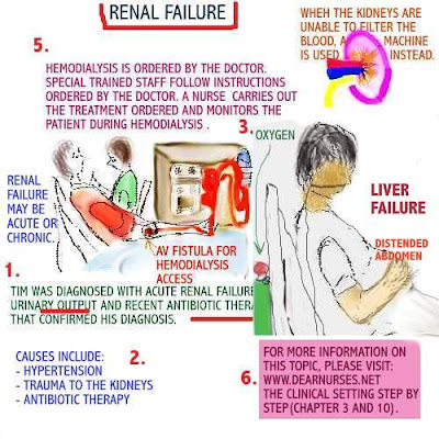 Dear Nurses: RENAL AND LIVER FAILURE