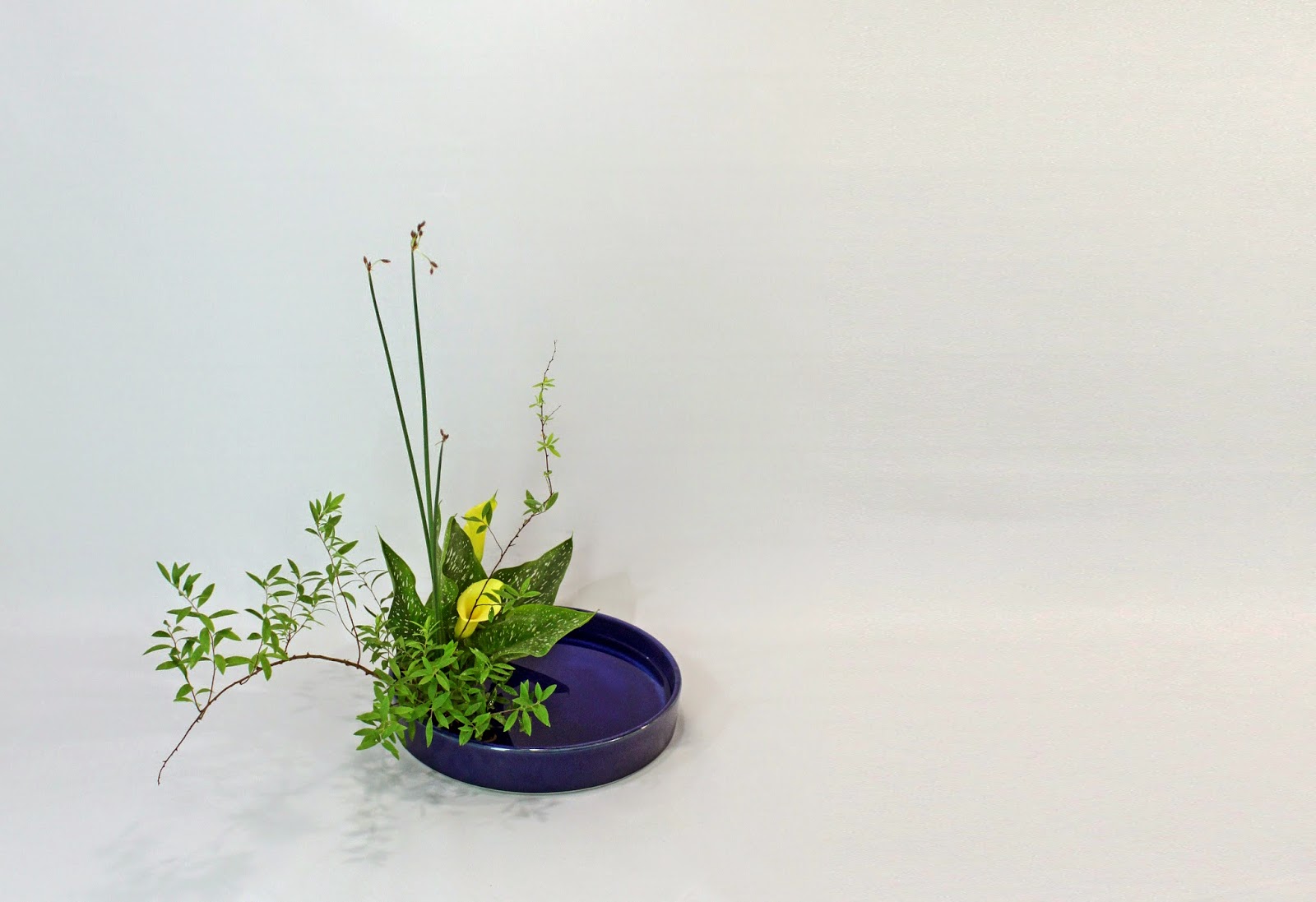 hanamai, the ikebana blog: Early Summer Landscape Moribana