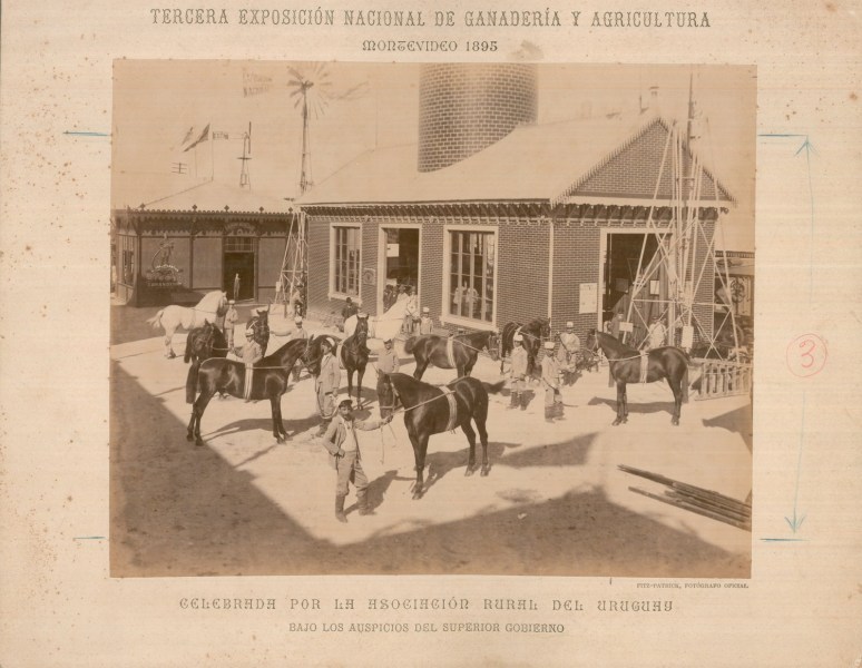 Los Grandes Fotografos: John Fitz-Patrick (1847-1928)