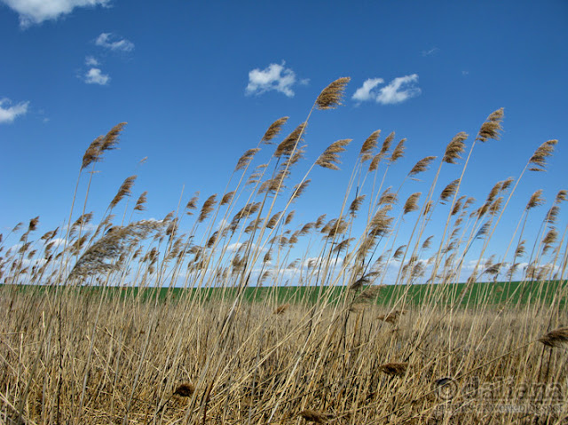 Photographis: June 2011