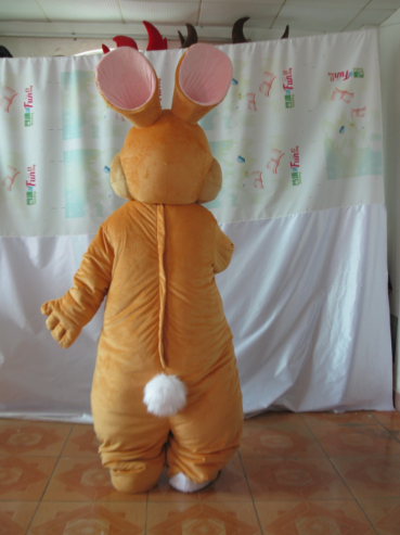 BOTARGAS ADOMICILIO: CONEJO