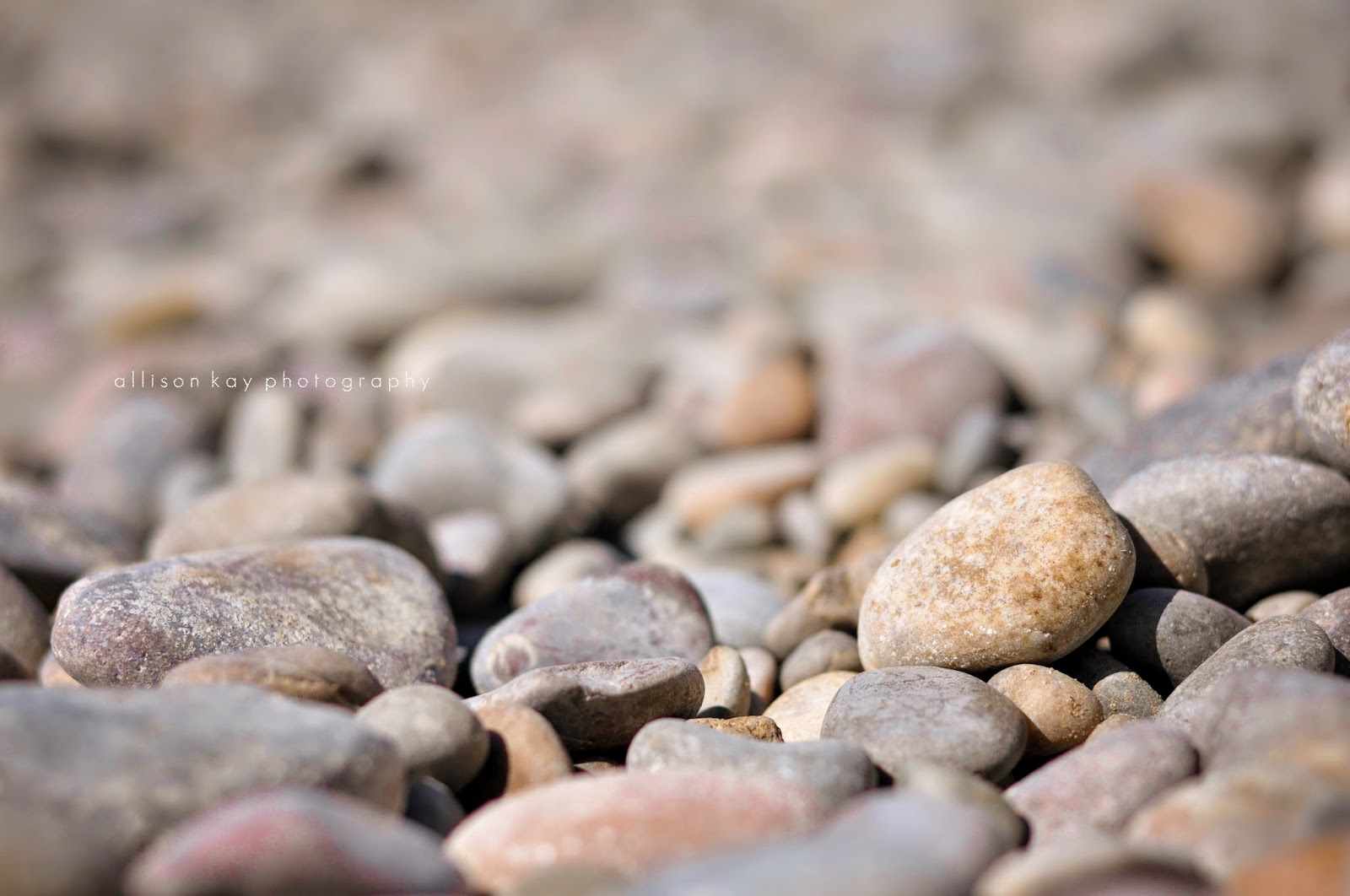 allison kay photography