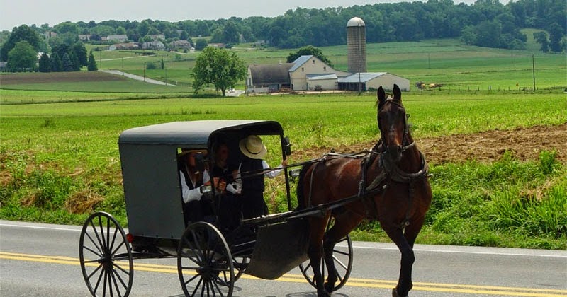 茶 Tea Dreams 梦: The Amish Drink Tea, Too!