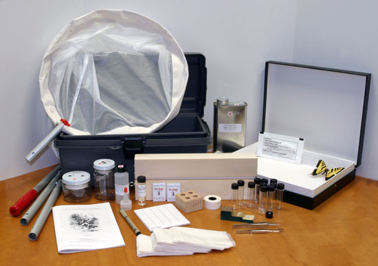 Best Gift Ideas for the Entomologist in Your Life