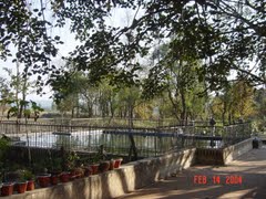 Visit Nepal: Surkhet Bulbule Tal